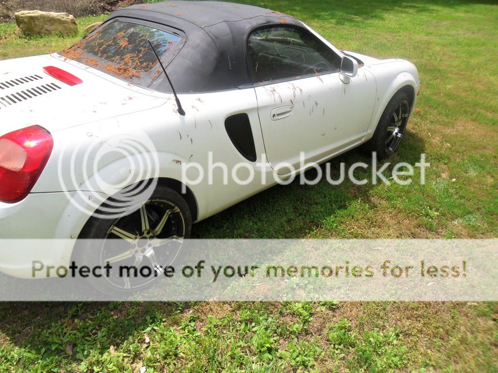 For Sale 2001 White MR2 Spyder Rolling Chassis $3000 | MR2 SpyderChat