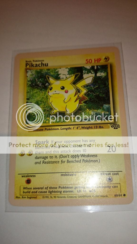 Albino border jungle pikachu? O.O - Collecting - Elite Fourum