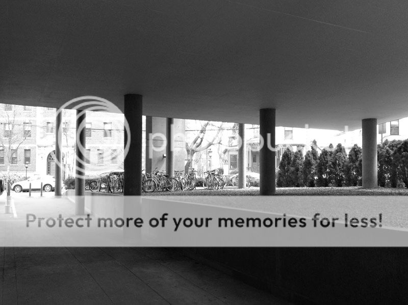 CARPENTER CENTER FOR THE VISUAL ARTS . Harvard University. Boston. USA ...